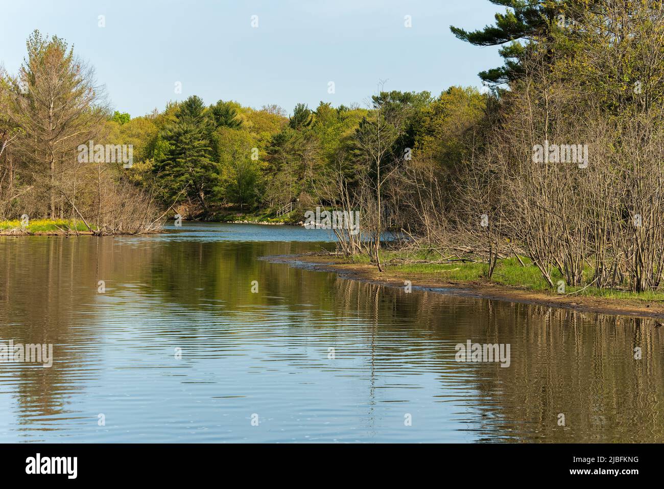 Unspoiled ecosystem hi-res stock photography and images - Alamy