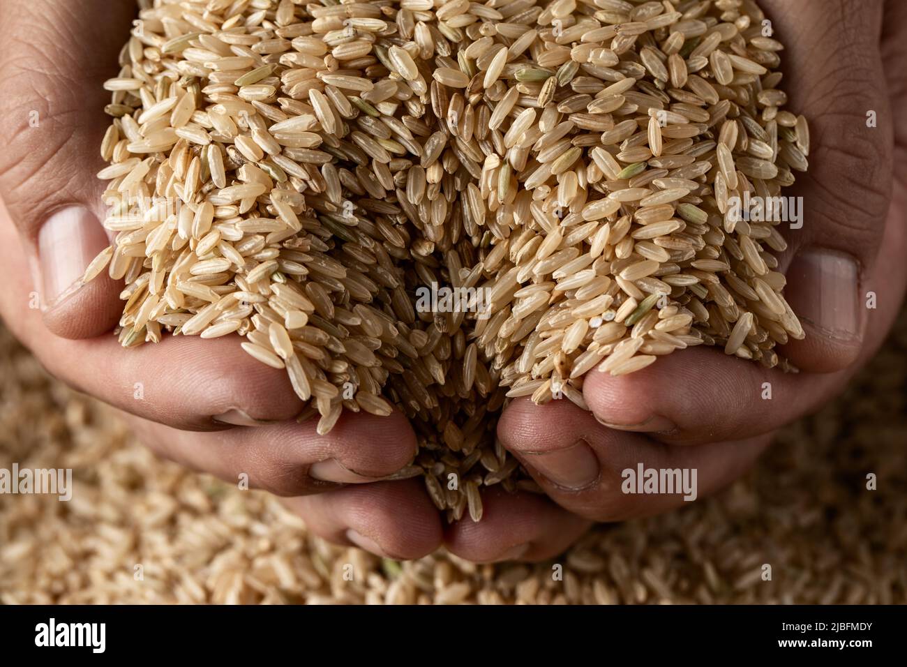 Close-up view of crop hands full of raw wholewheat rice Stock Photo - Alamy
