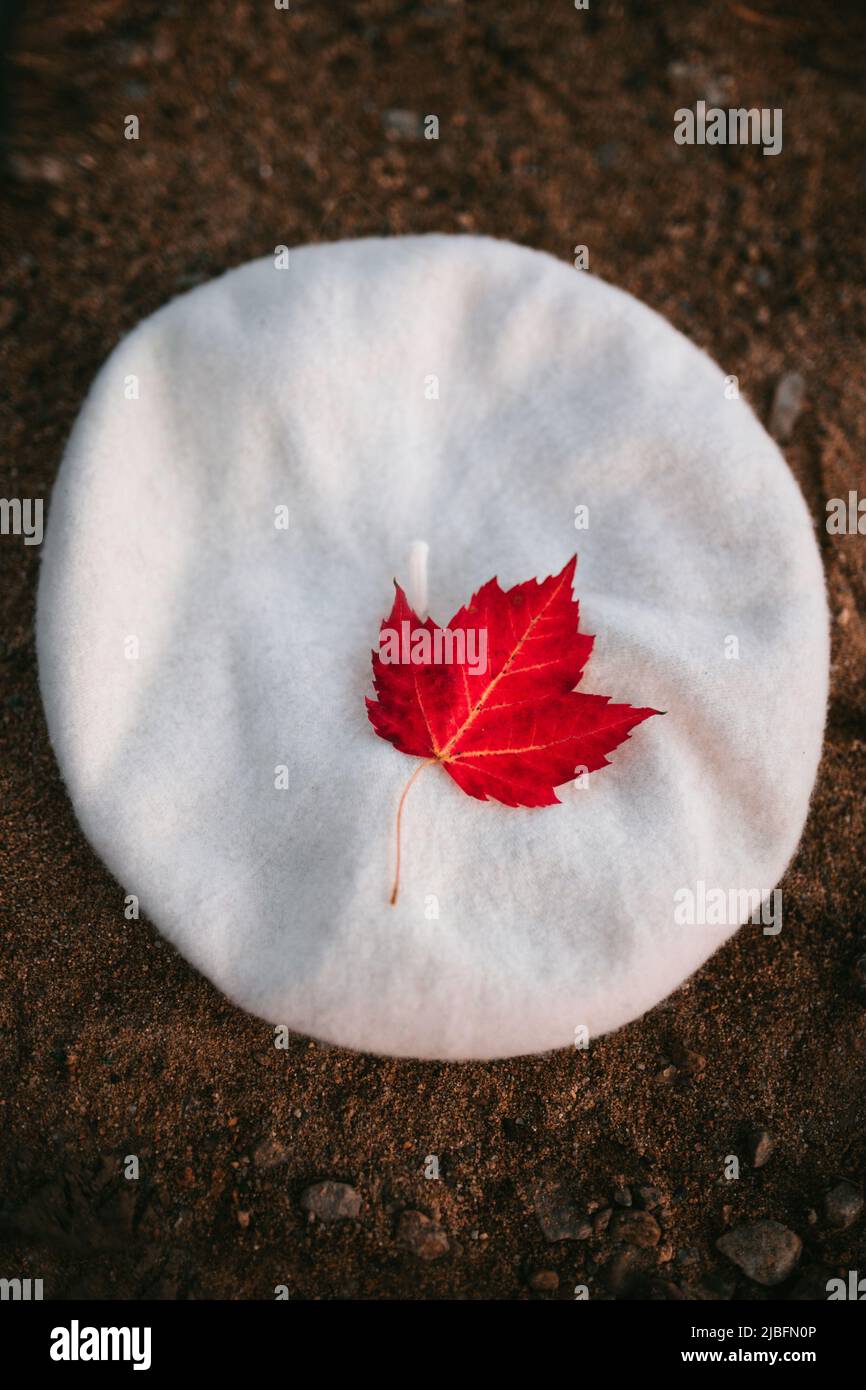 From above of bright fallen red maple leaf on stylish white beret ...
