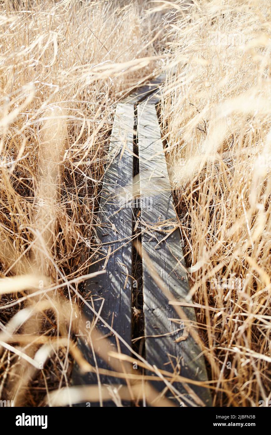 Long boardwalk hi-res stock photography and images - Alamy
