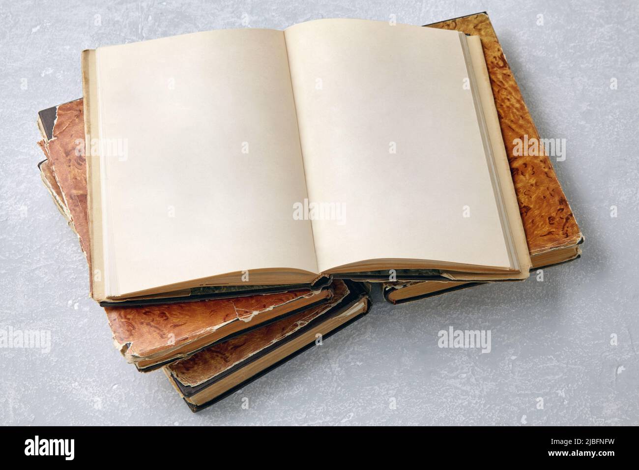 Blank Old Diary Page