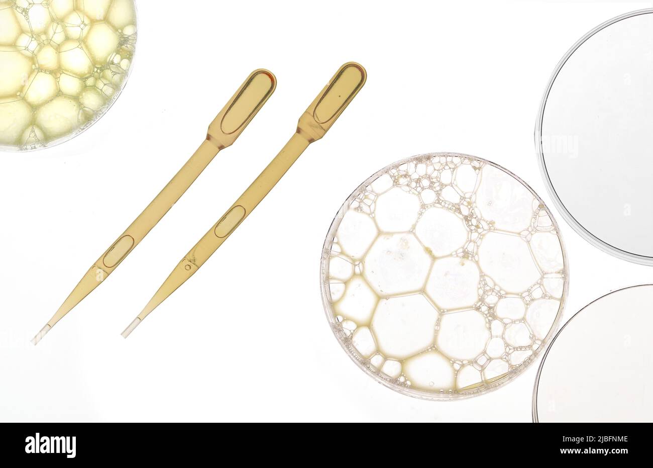 Top view of droppers and round Petri dishes with liquid yellow ...