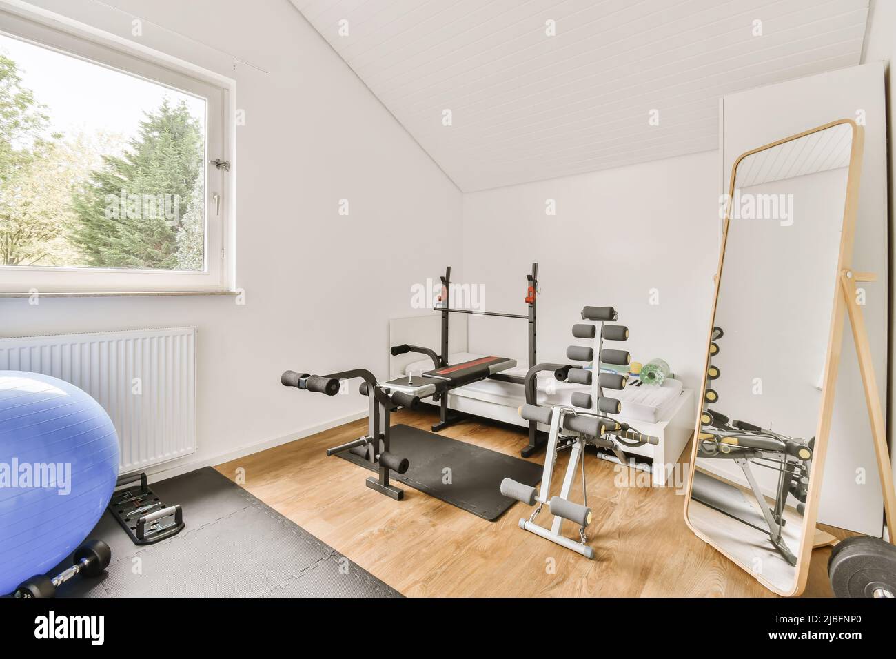 Exercise machines and fit ball located near mirror and window in sunlit ...