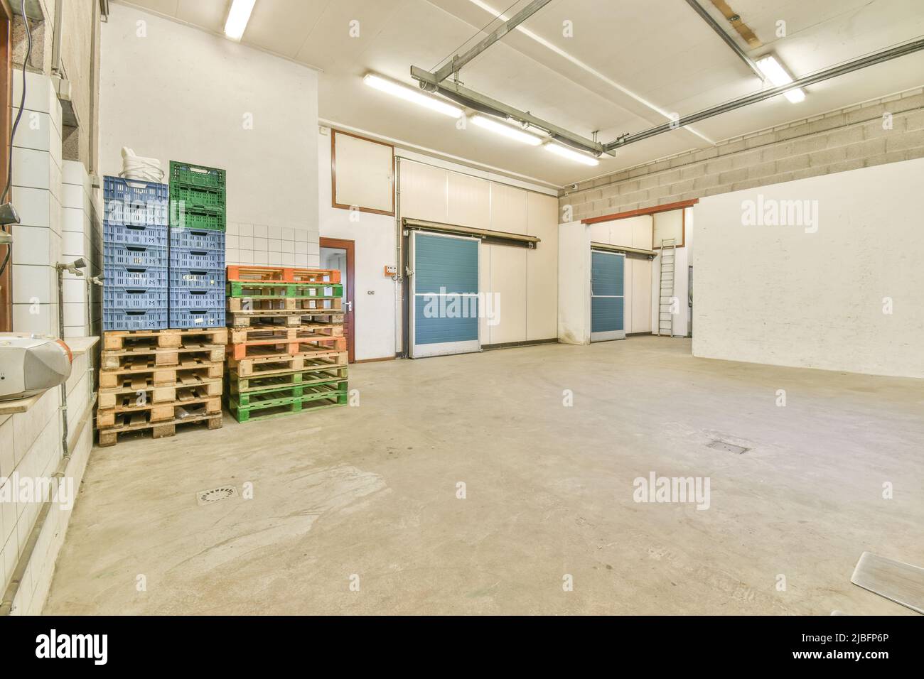 Heap of fish in water feeding with hunger Stock Photo - Alamy