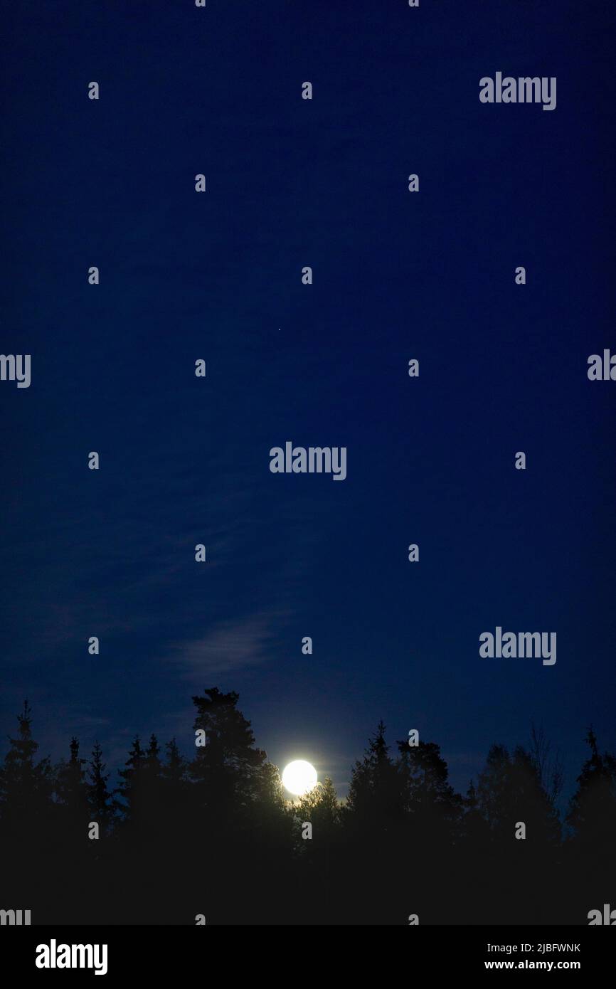 The moon above trees hi-res stock photography and images - Alamy
