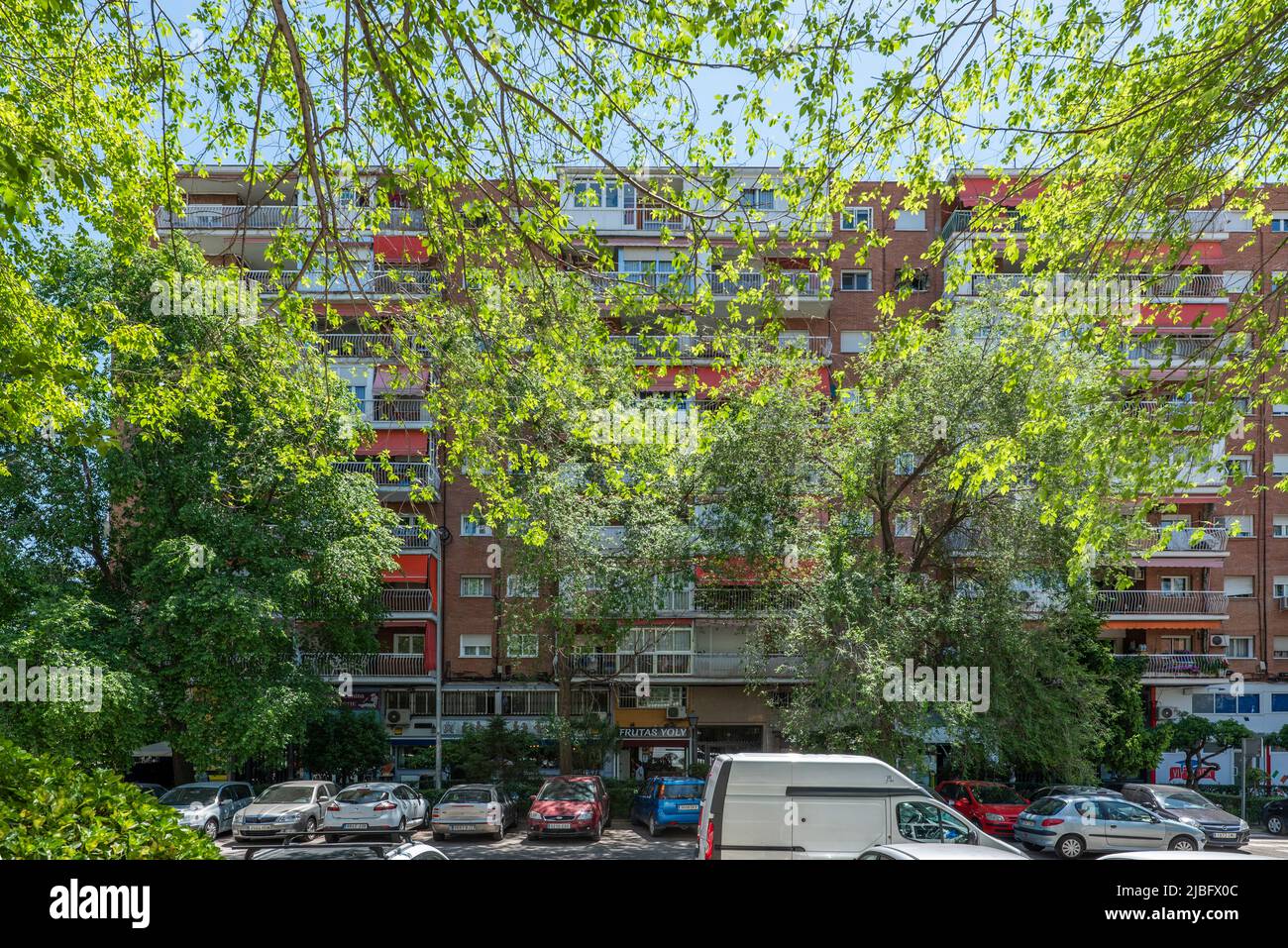 Facades of residential buildings surrounded by trees with many branches ...