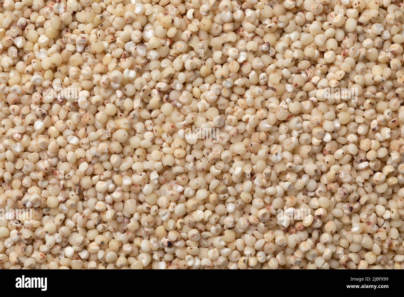 Grain sorghum hi-res stock photography and images - Alamy