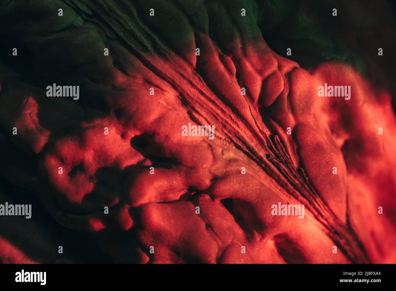 Close-up beautiful walnut shell extreme in red light. Background ...