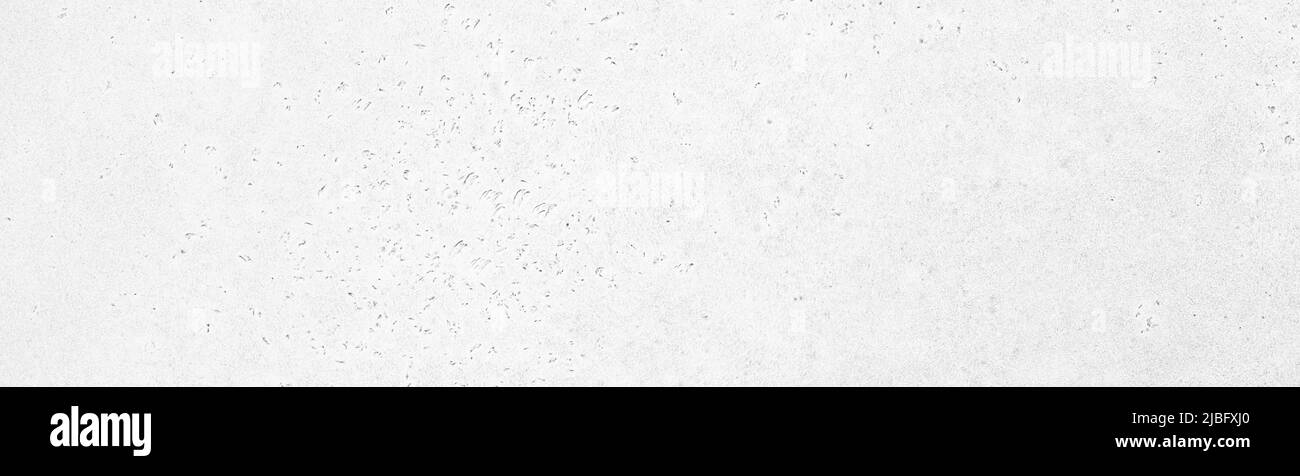 Texture plaster seamless Black and White Stock Photos & Images - Alamy
