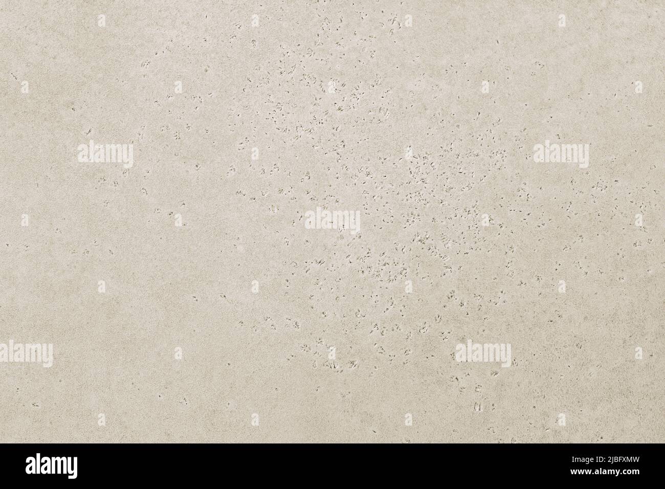 Speckle pattern hi-res stock photography and images - Alamy