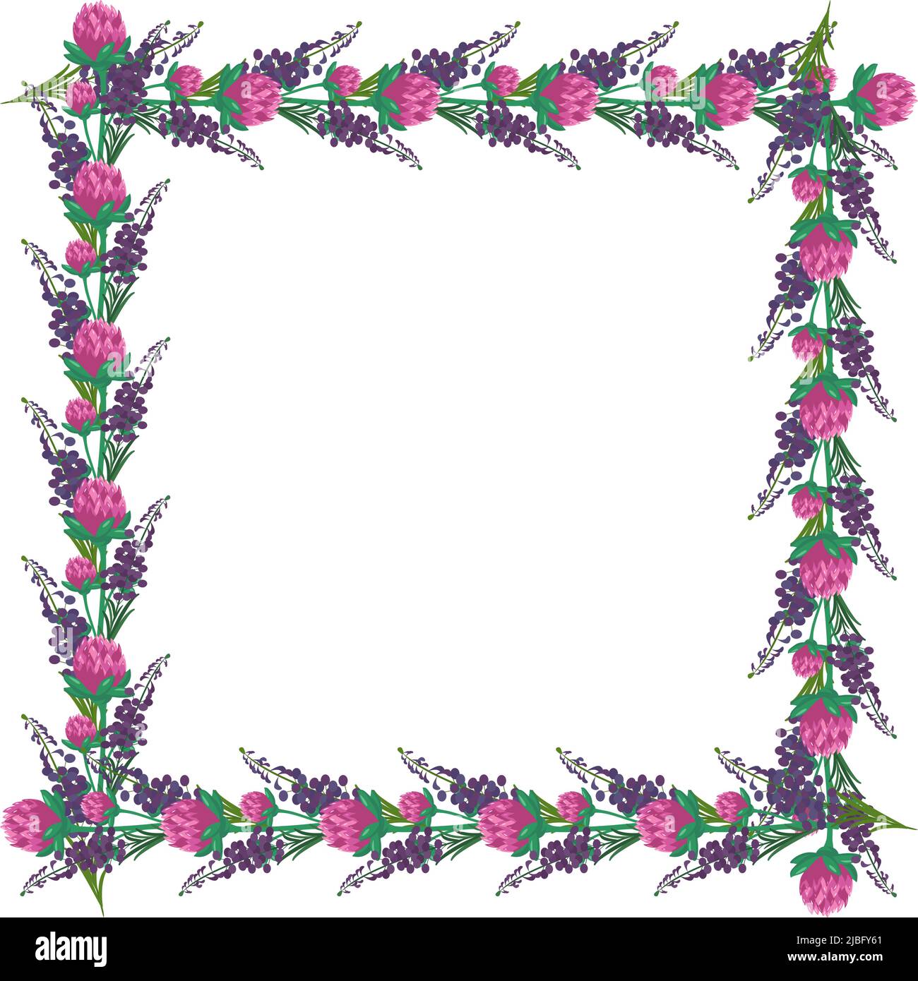 Nature plants shamrock Stock Vector Images - Alamy