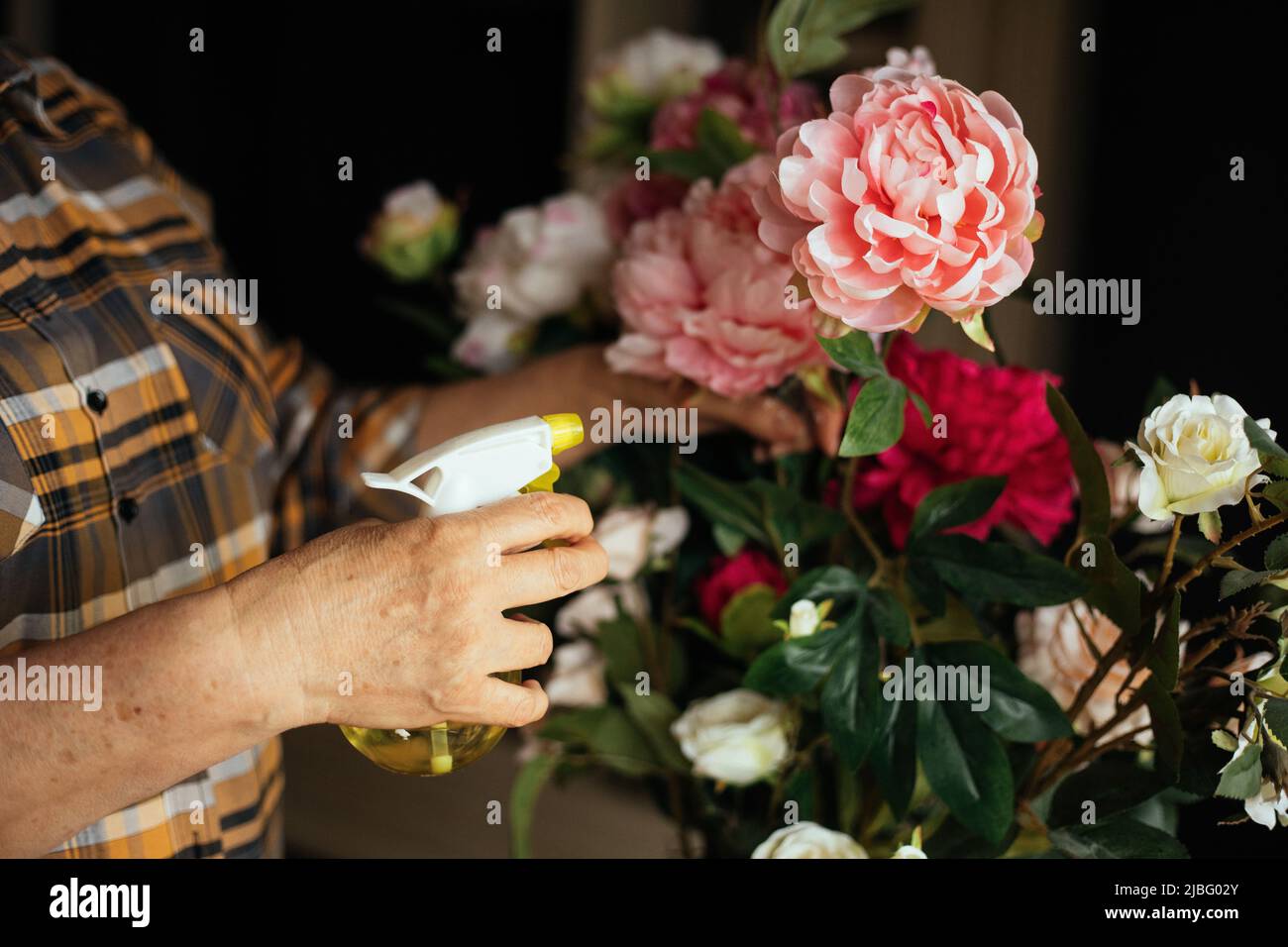 Cropped photo of senior woman wearing checkered shirt, spraying bouquet ...