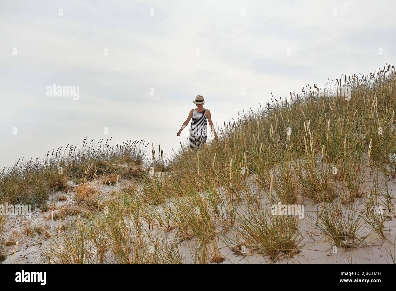 Striped appearance hi-res stock photography and images - Alamy