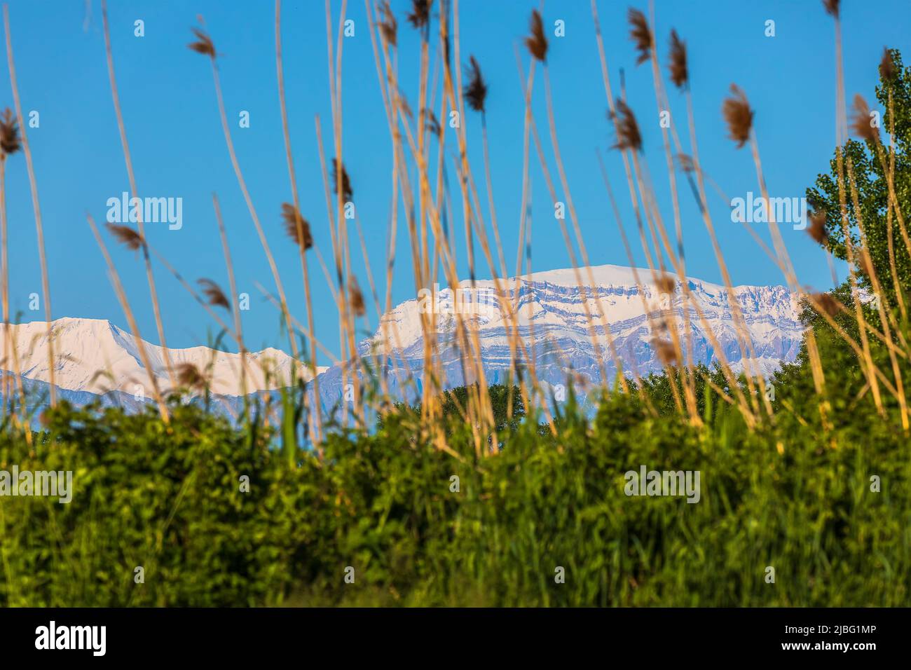 Mountains Shahdag and Bazarduzu in the snow Stock Photo - Alamy