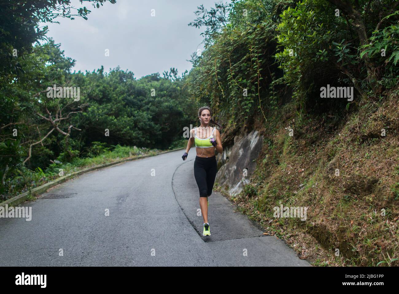 Roadrun hi-res stock photography and images - Alamy