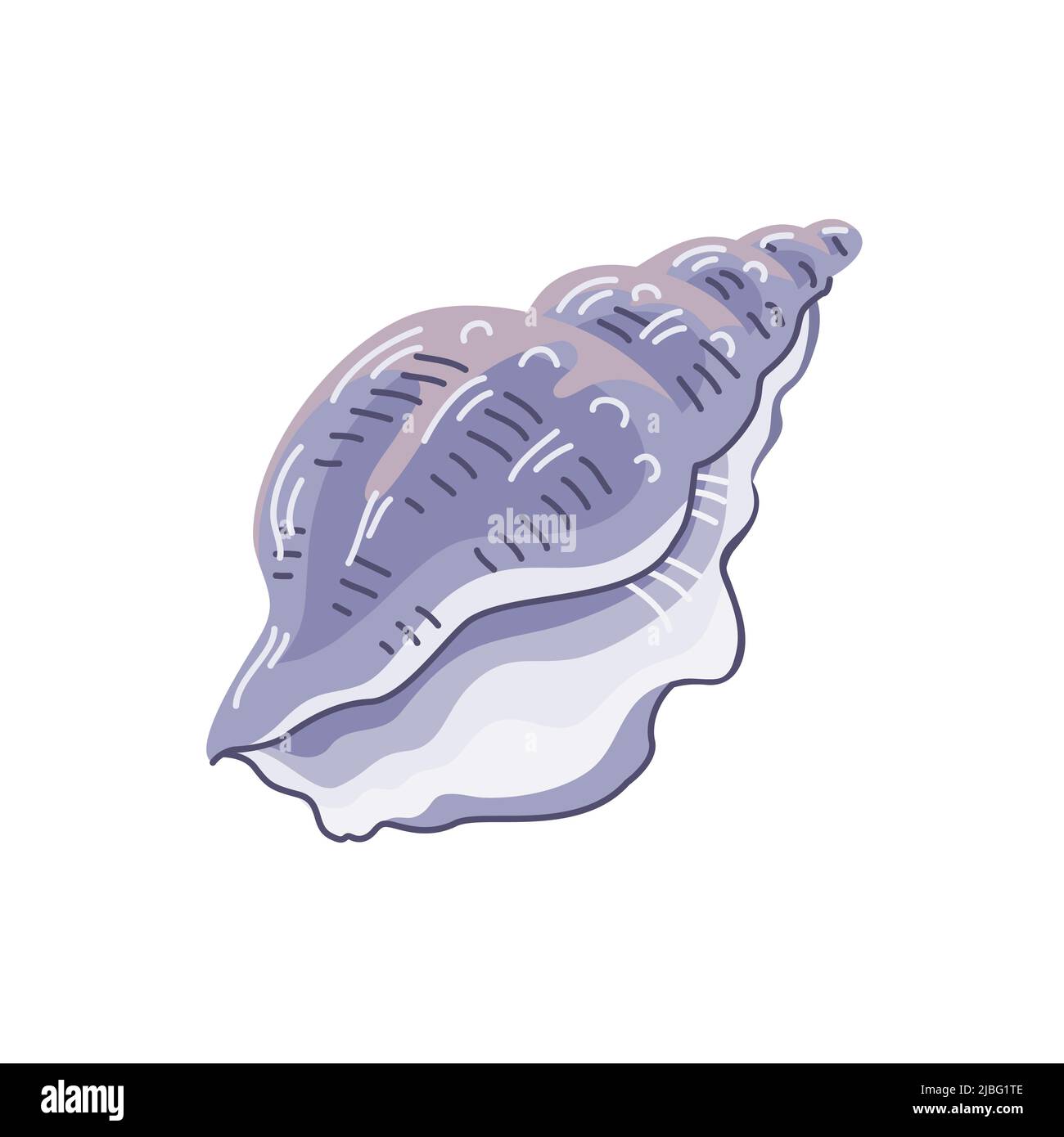 Snail sea shell. Marine underwater twisted seashell. Spiral shape ...