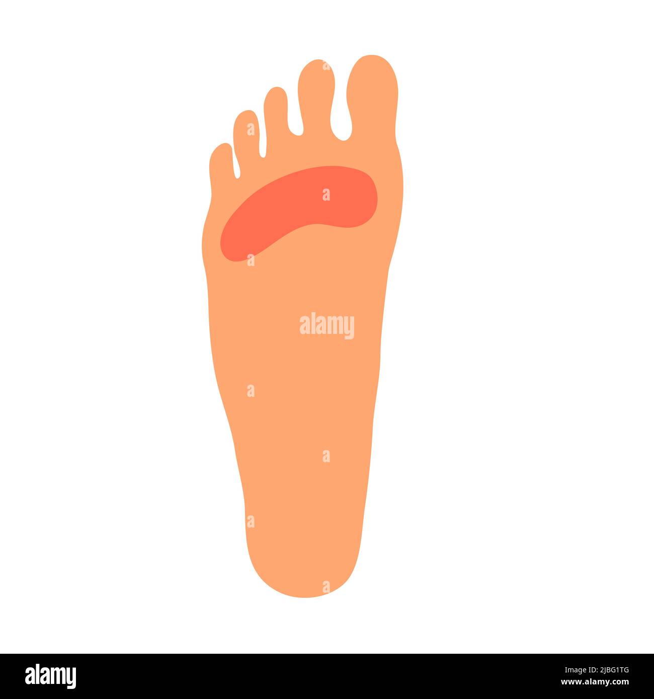 Woman body skeleton on Stock Vector Images - Alamy