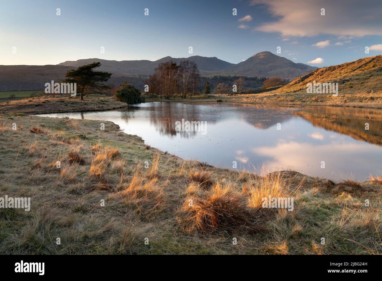 Kelly Hall Tarn sunset. Torver, Lake District, Cumbria, UK. 7 March ...