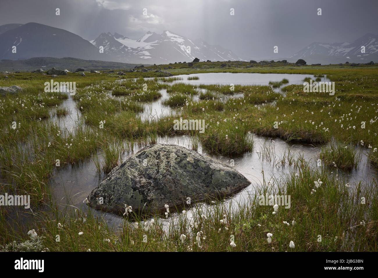 Mountain swamp hi-res stock photography and images - Alamy