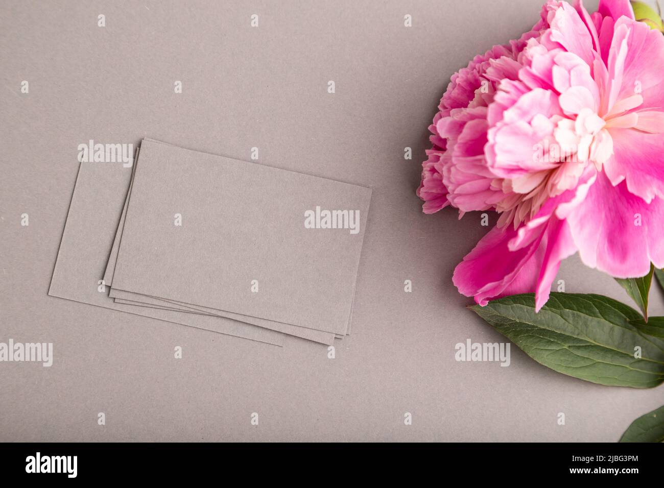 Gray business card with pink peony flowers on gray pastel background ...