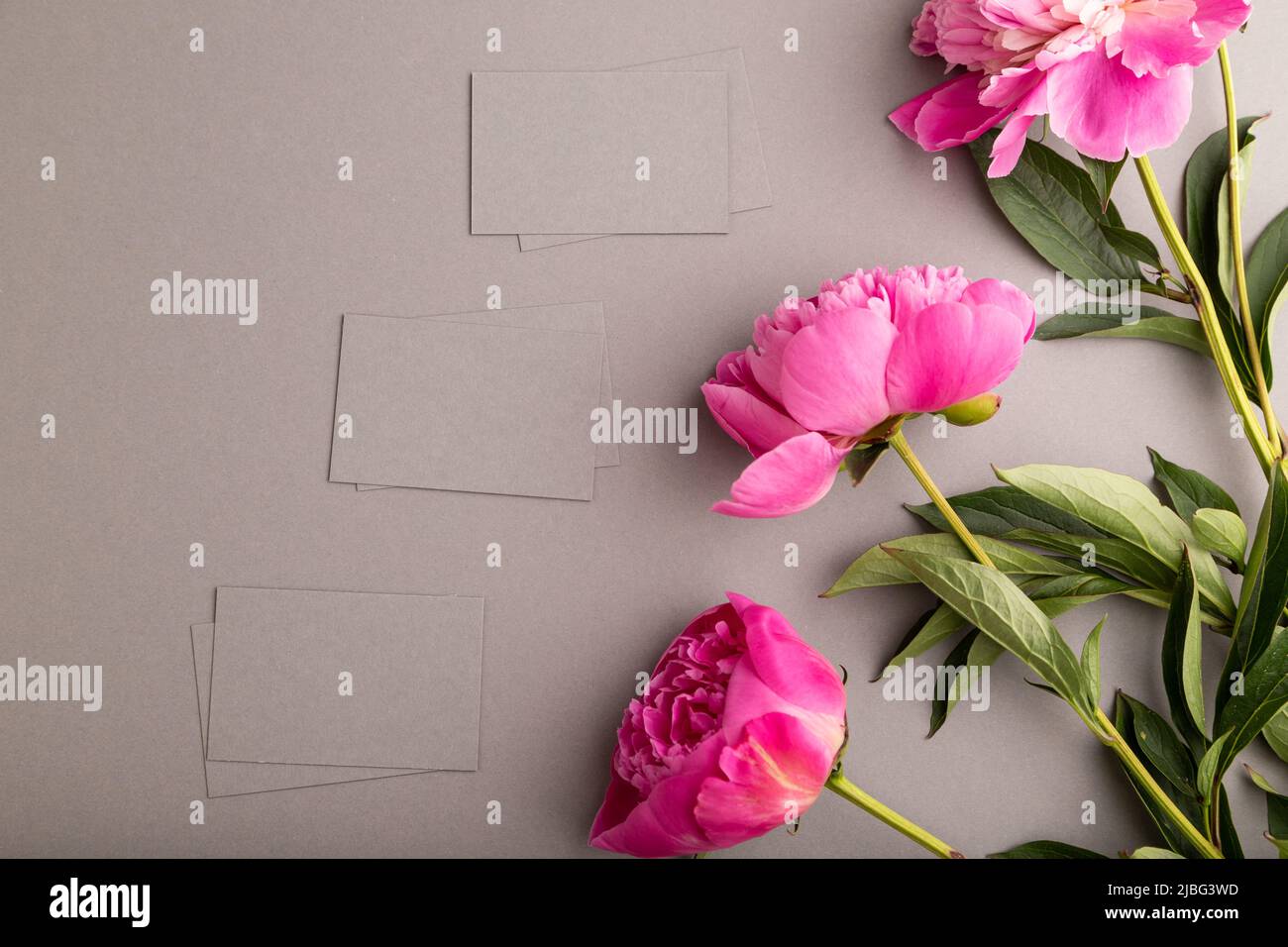 Gray business card with pink peony flowers on gray pastel background ...