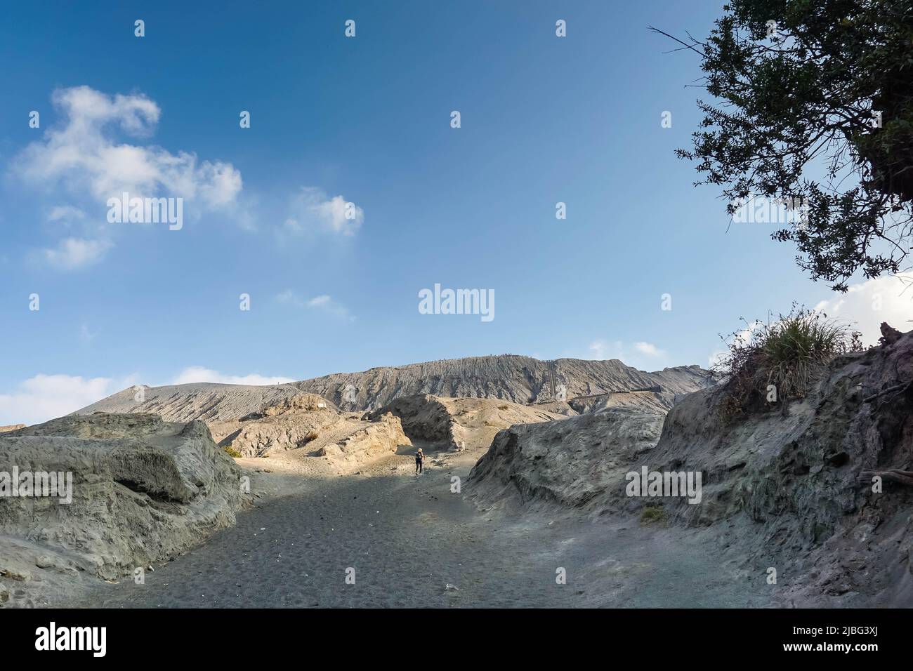 Beautiful Landscape Around Bromo National Park, Indonesia Stock Photo ...