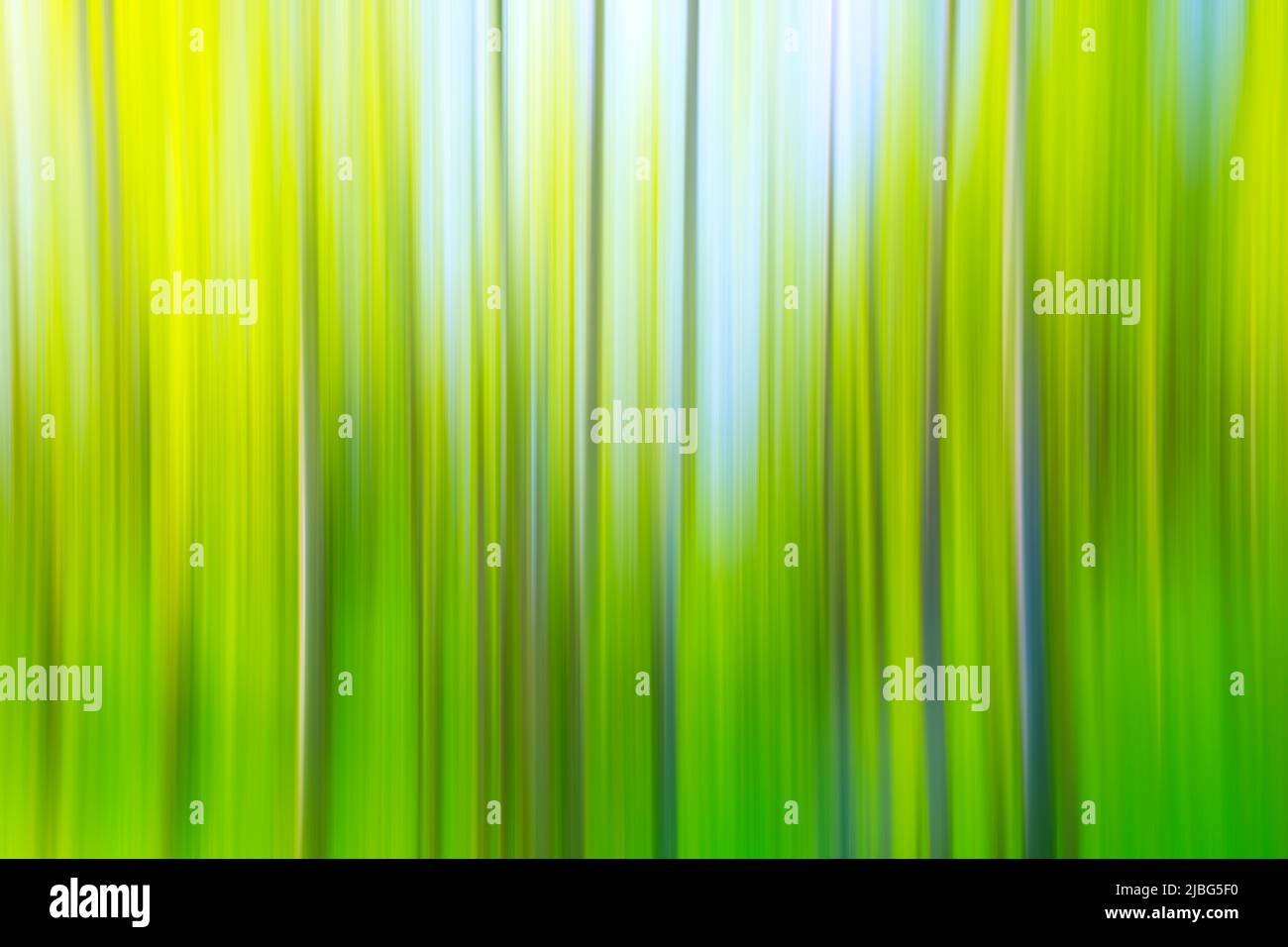 Abstract motion blur spring summer green forest sunny texture ...