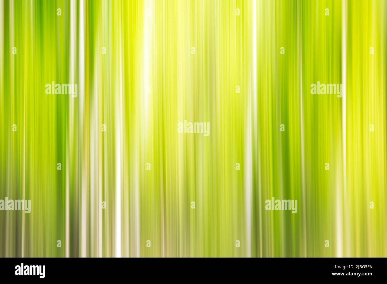 Abstract motion blur spring summer green forest sunny texture ...