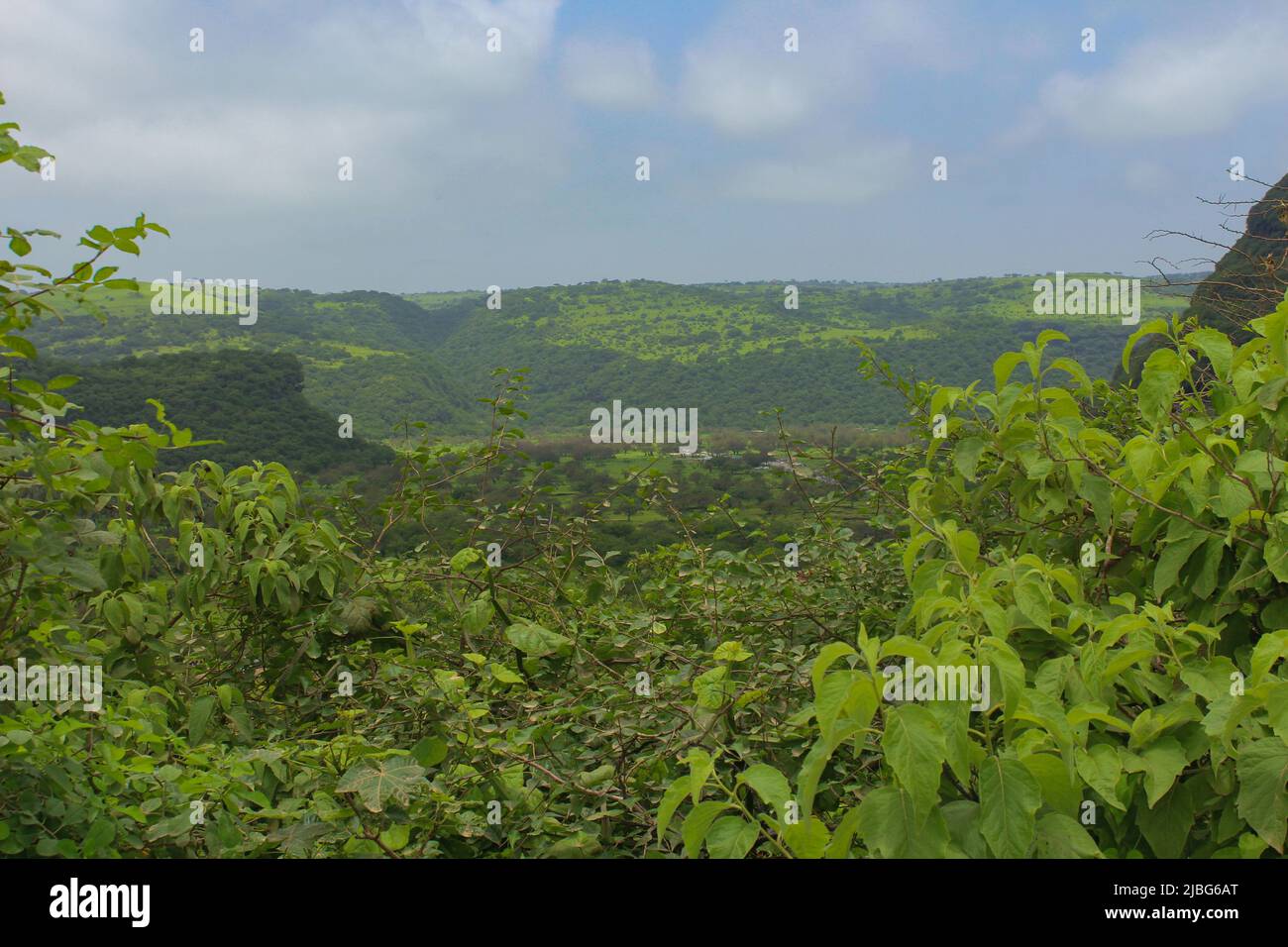 Lush green mountains and dense vegetation during the Khareef (autumn ...