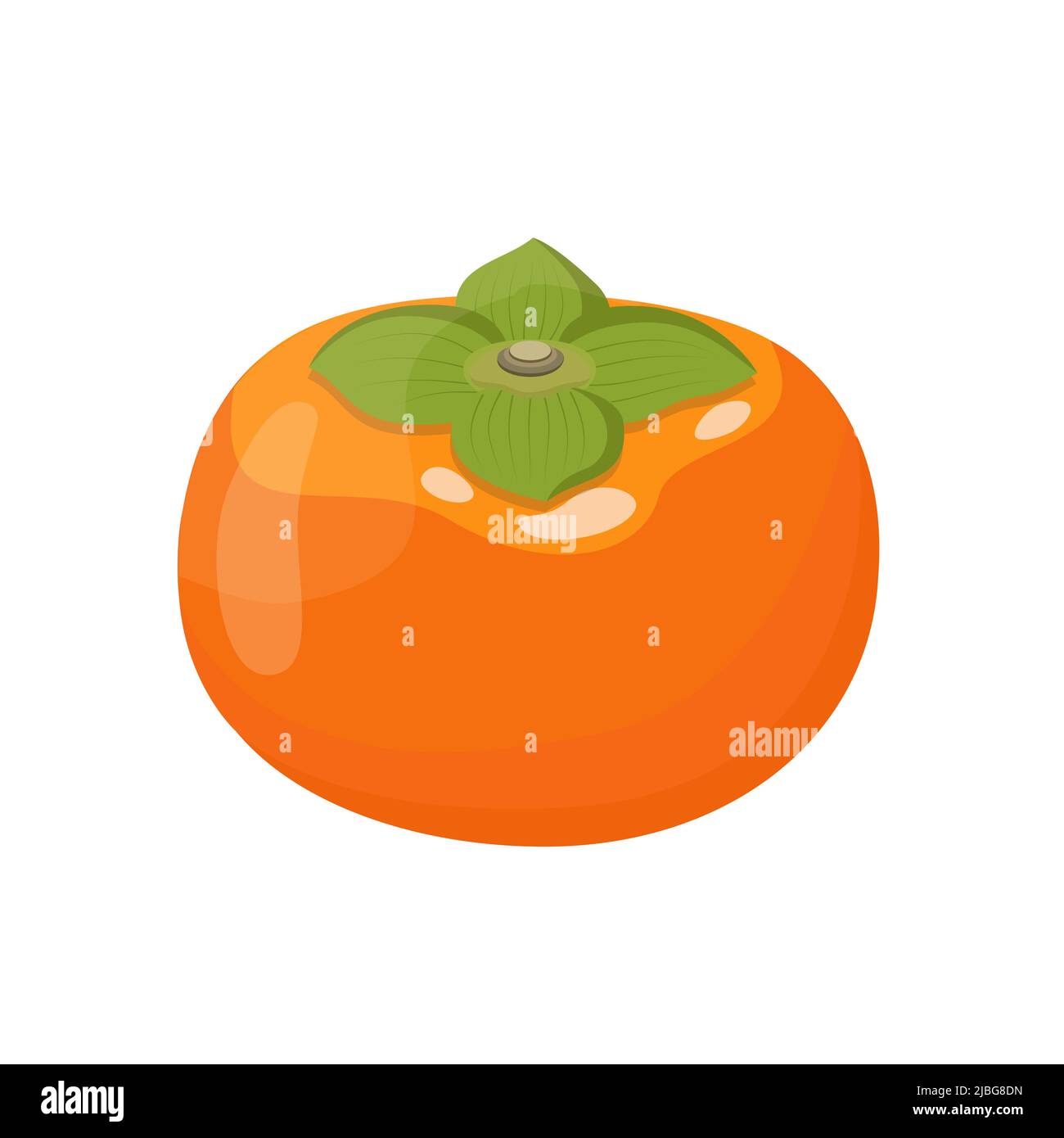 Persimmon, flat style vector illustration isolated on white background ...