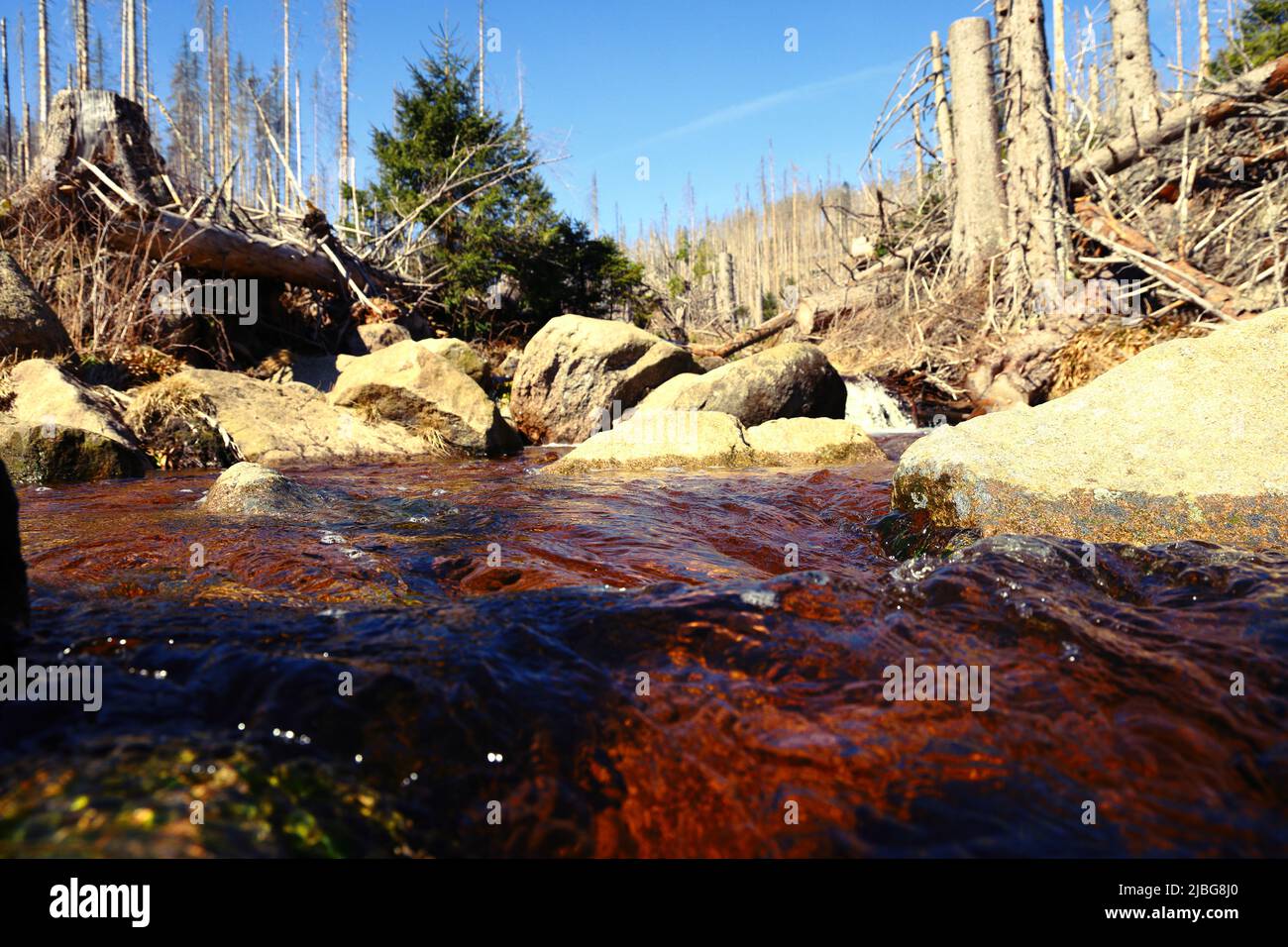 Stream on Brocken Stock Photo - Alamy