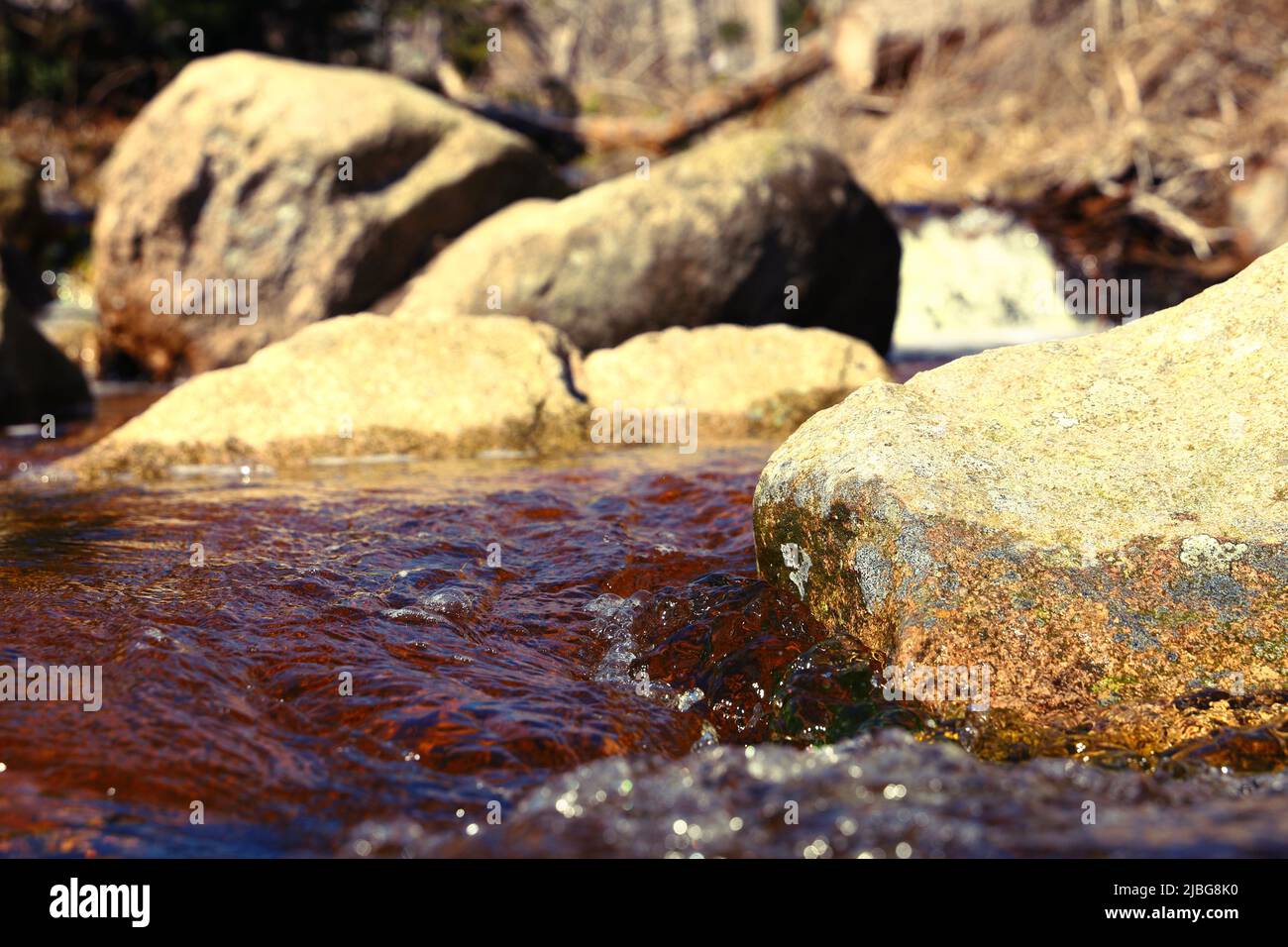 Forest stream water flow stones hi-res stock photography and images - Alamy