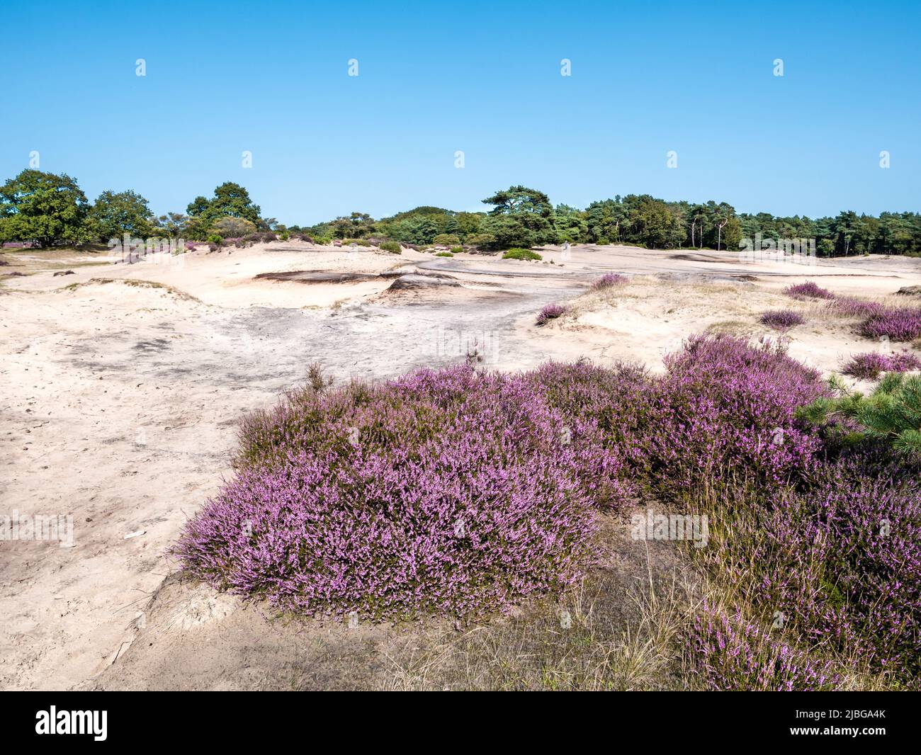 Heather sand hi-res stock photography and images - Alamy