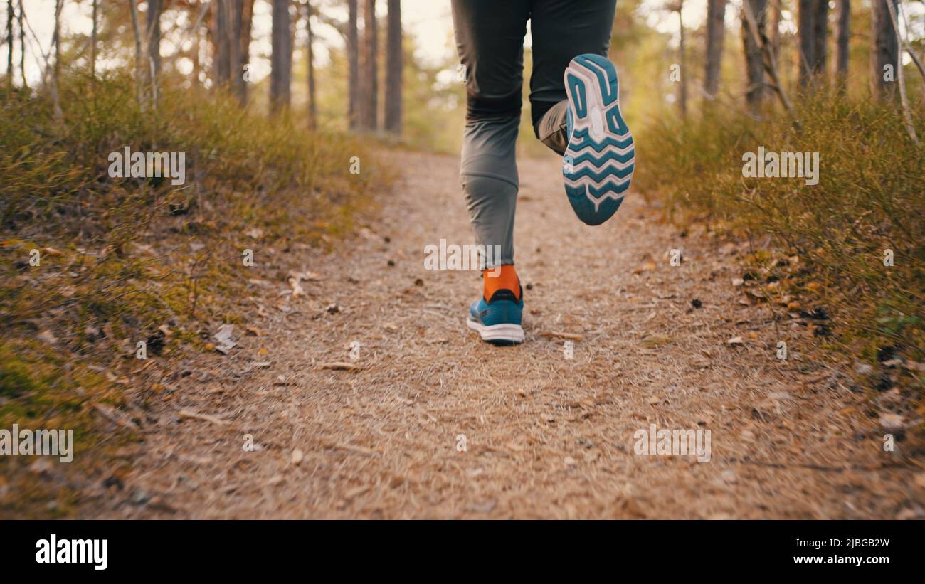 Man runs along narrow path in old pine forest. Cardio training on fresh ...