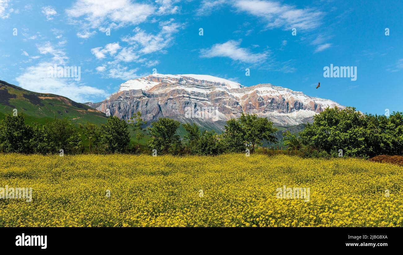 Wide angle view of Shahdag mount covered with snow Stock Photo - Alamy