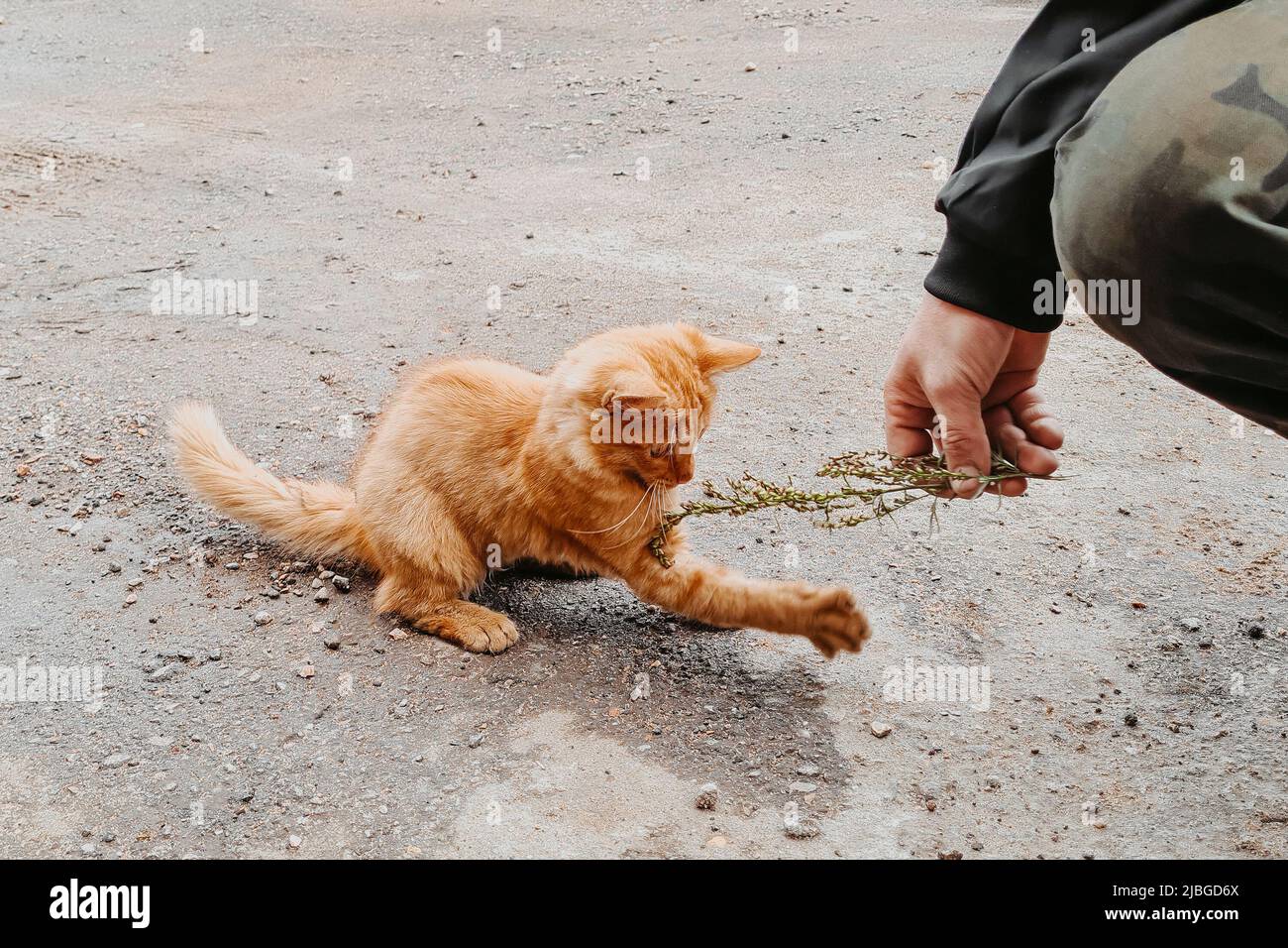 Homeless man with cat hi-res stock photography and images - Alamy