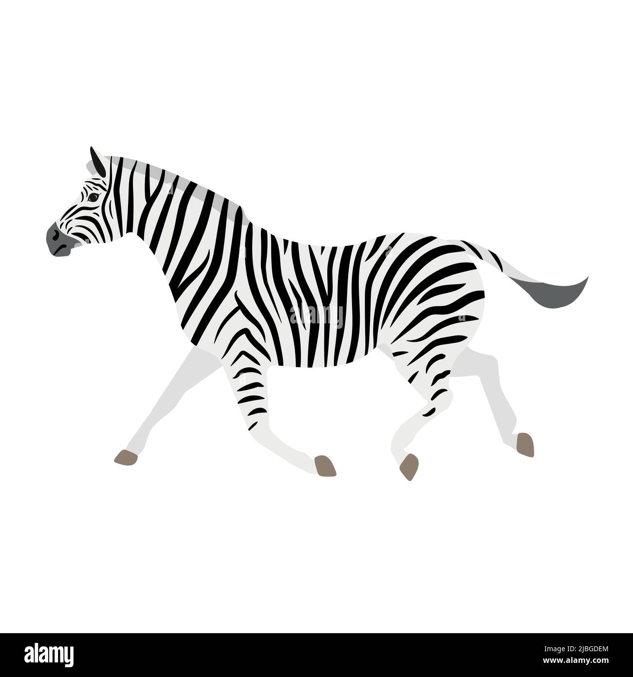 Vector flat zebra isolated on white background Stock Vector Image & Art ...