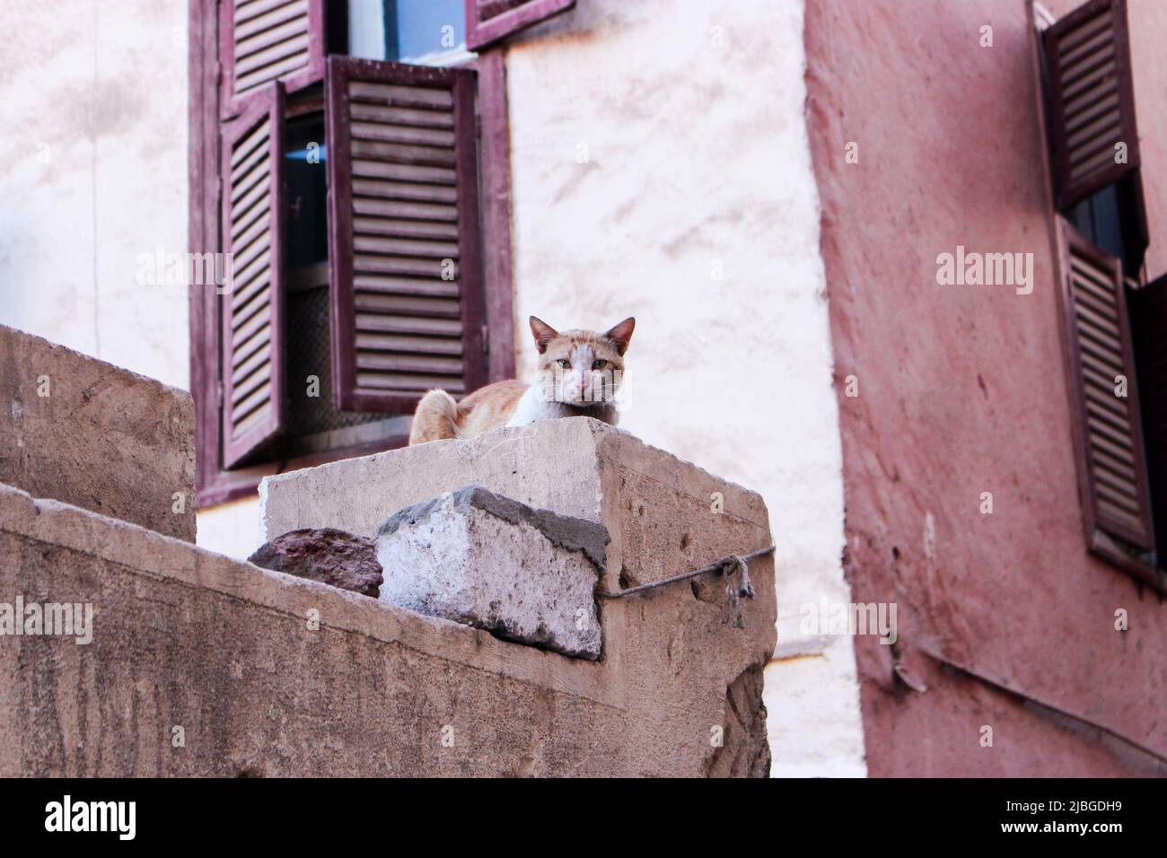 Emotion downtown hi-res stock photography and images - Alamy