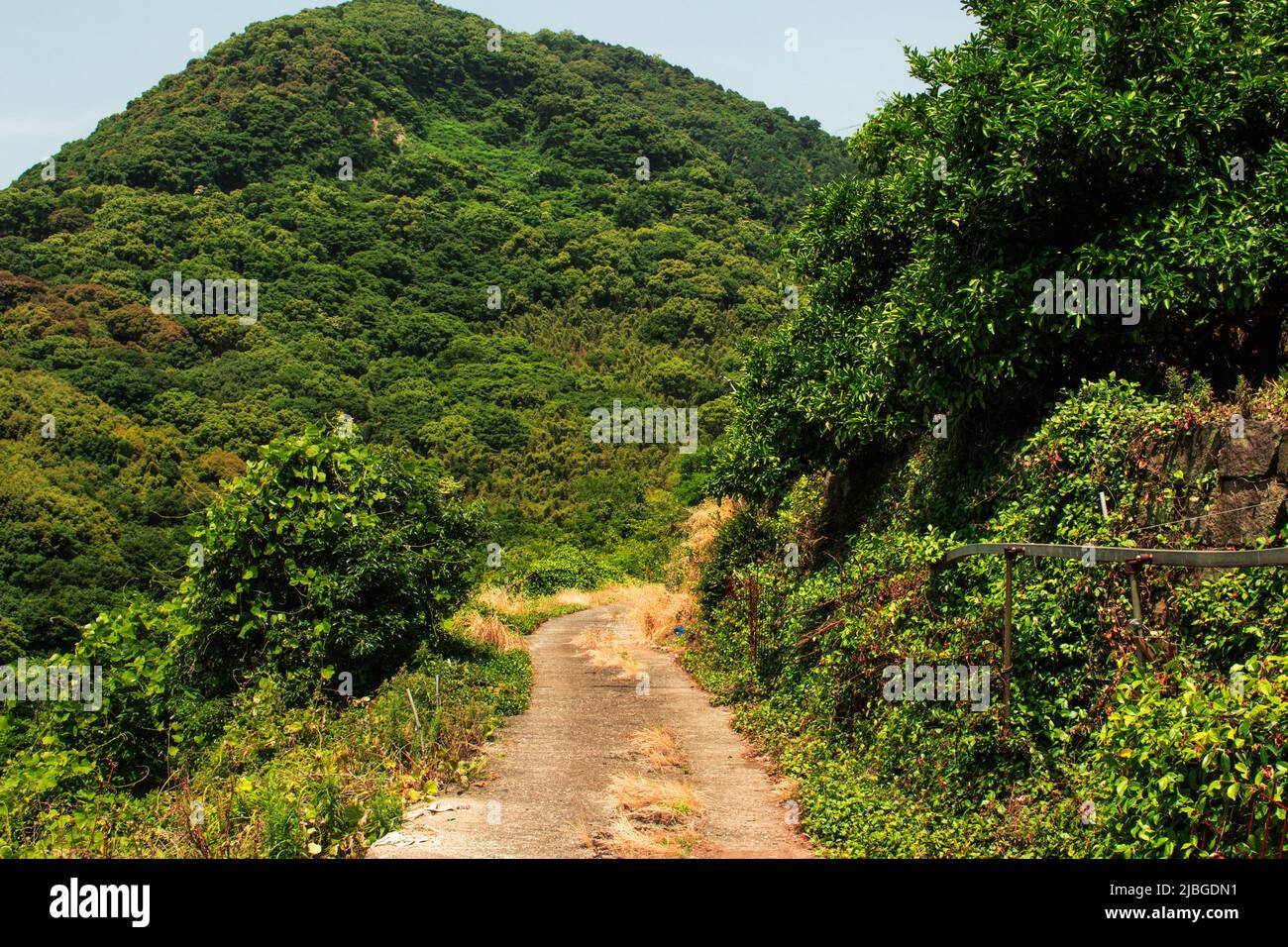 A path in Mt. Kinpo in Kumamoto, Japan Stock Photo - Alamy