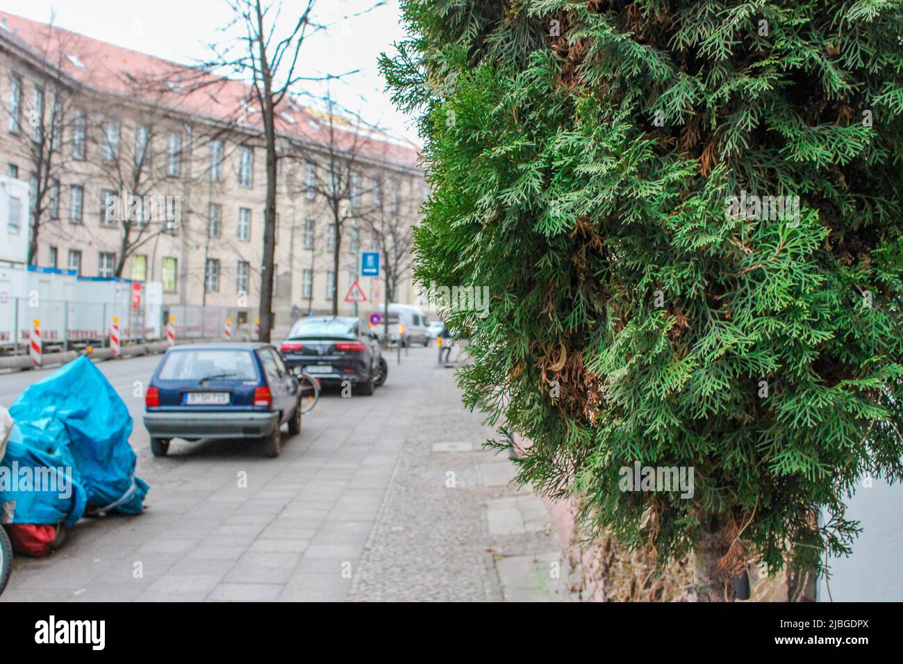 The cityscape of suburban Berlin, Germany. The close up of tree in ...
