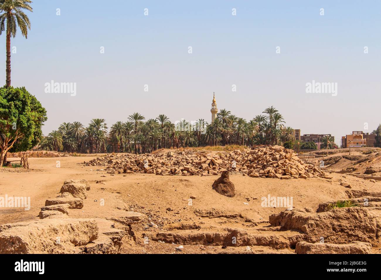 Cactus in egypt hi-res stock photography and images - Alamy