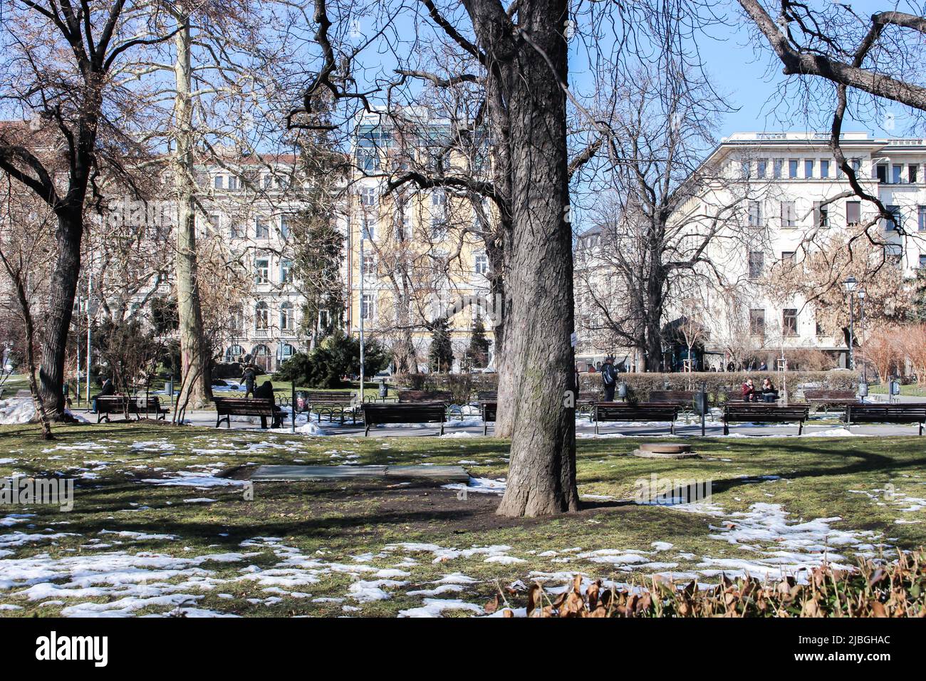 Low shrub and blurred park image with people in winter, Brasov, Romania ...