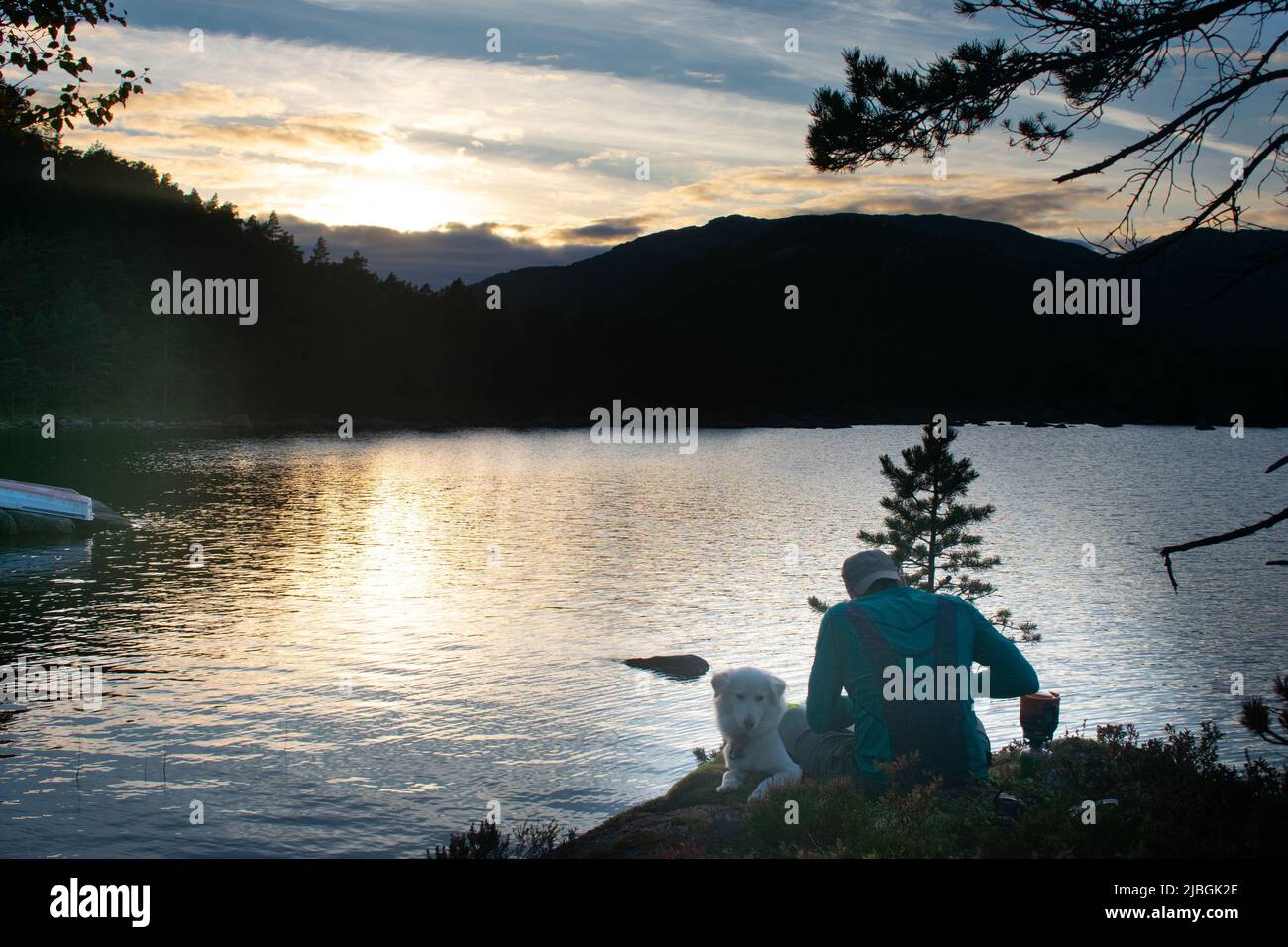 Male Hiker and dog camping in the Fjords of Stavanger Norway with ...