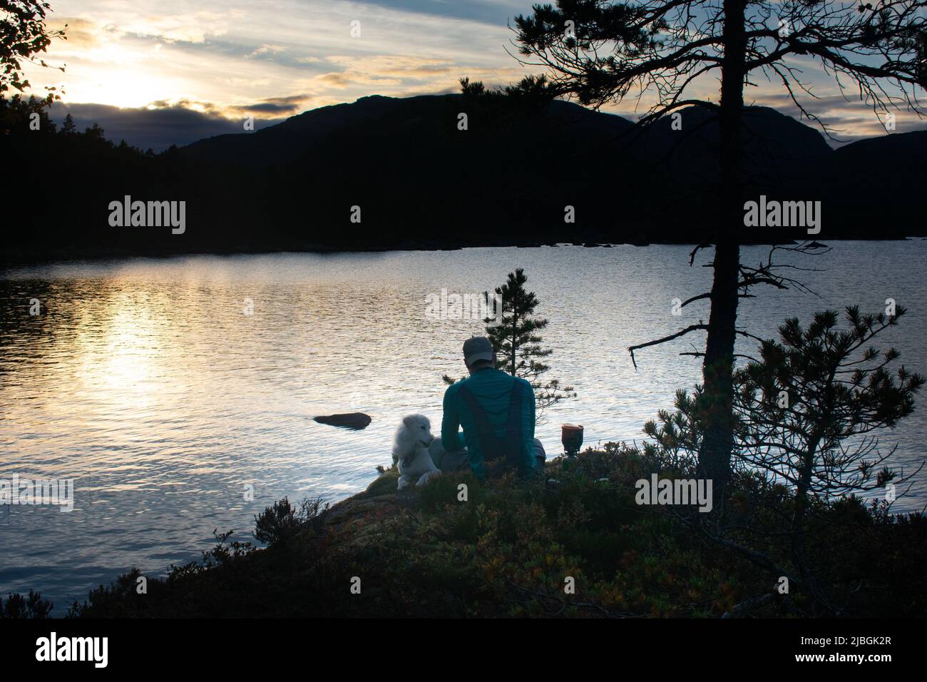 Male Hiker and dog camping in the Fjords of Stavanger Norway with ...