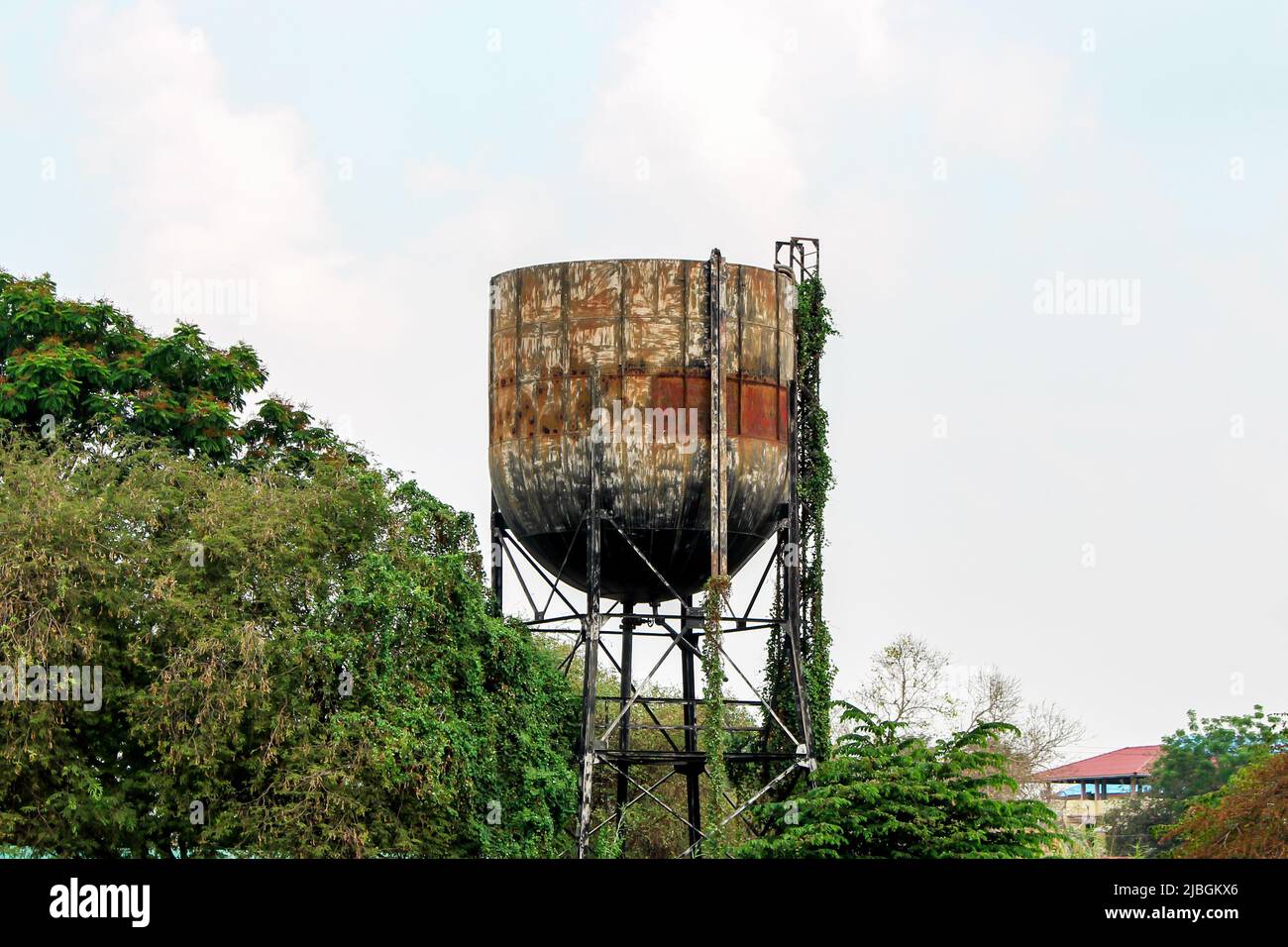Rusty old water tank covered with ivy, Thailand Stock Photo - Alamy