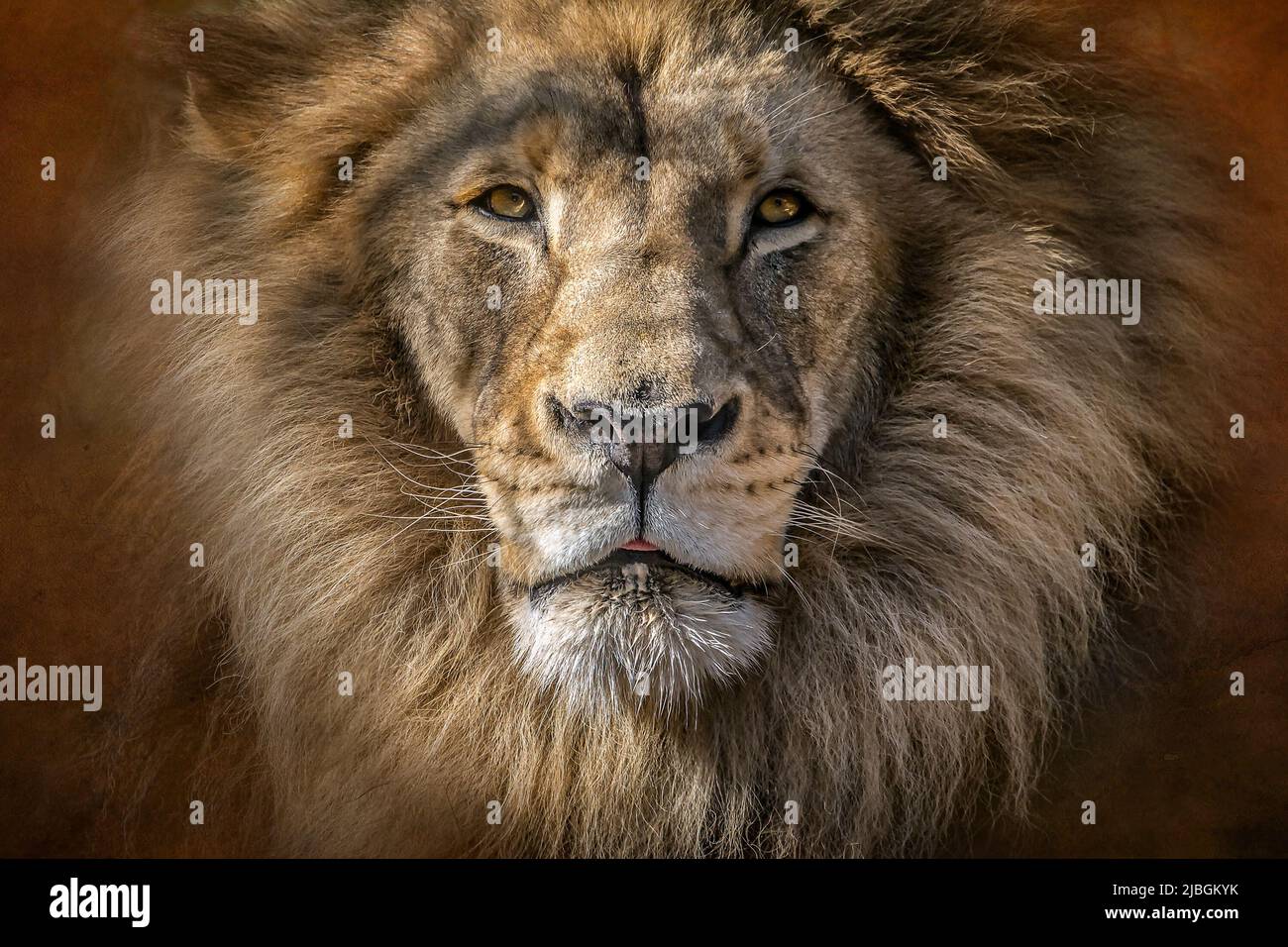 Mbari hi-res stock photography and images - Alamy