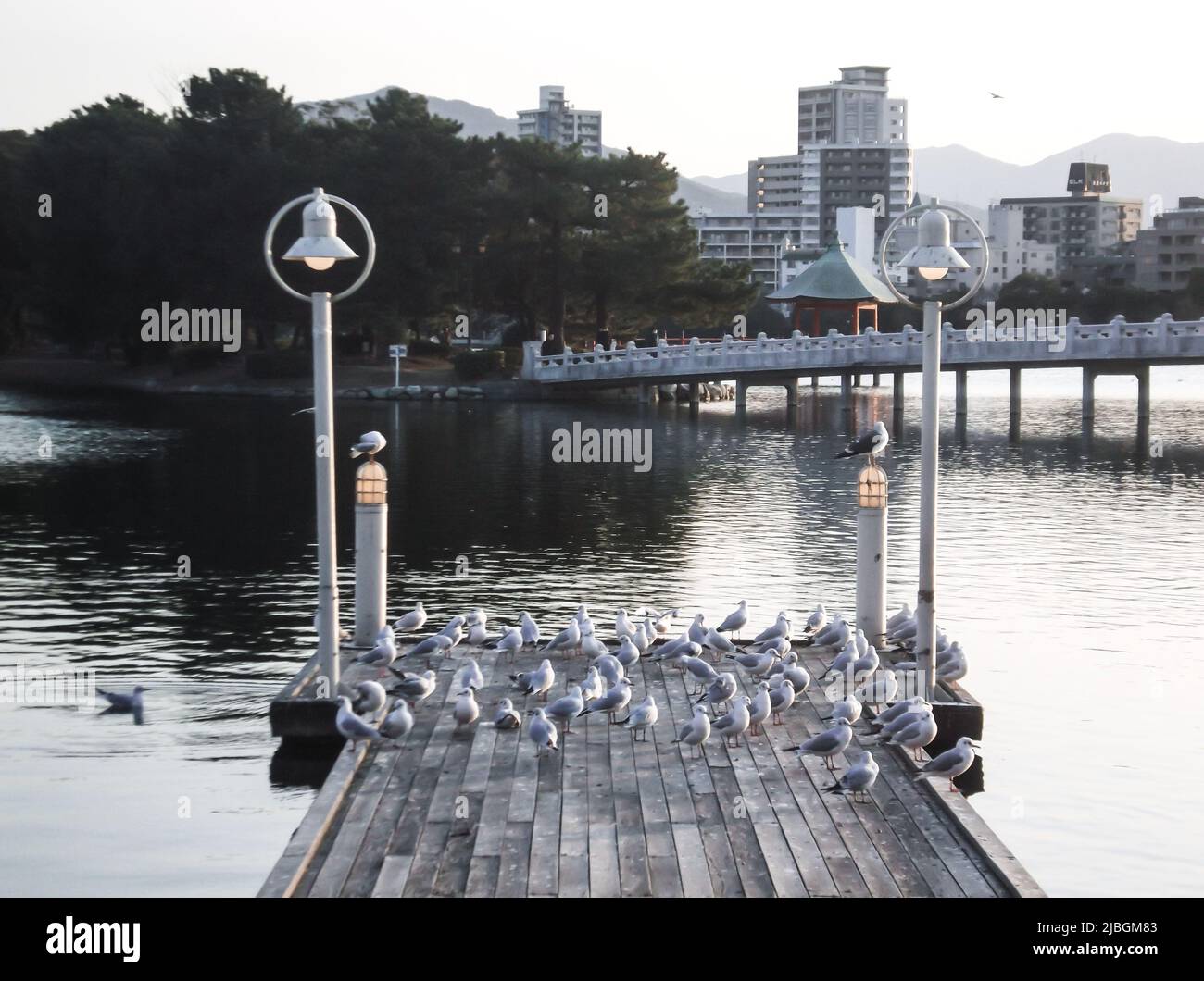 Ohori hi-res stock photography and images - Alamy