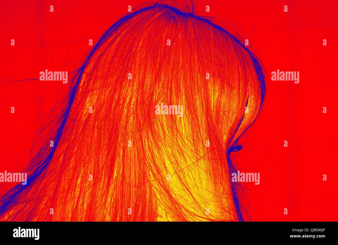 the girl's hairstyle. Illustration of thermal image. Blurred ...