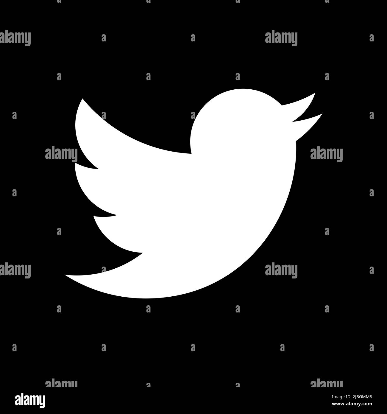 Twitter social media app icon Stock Vector Image & Art - Alamy