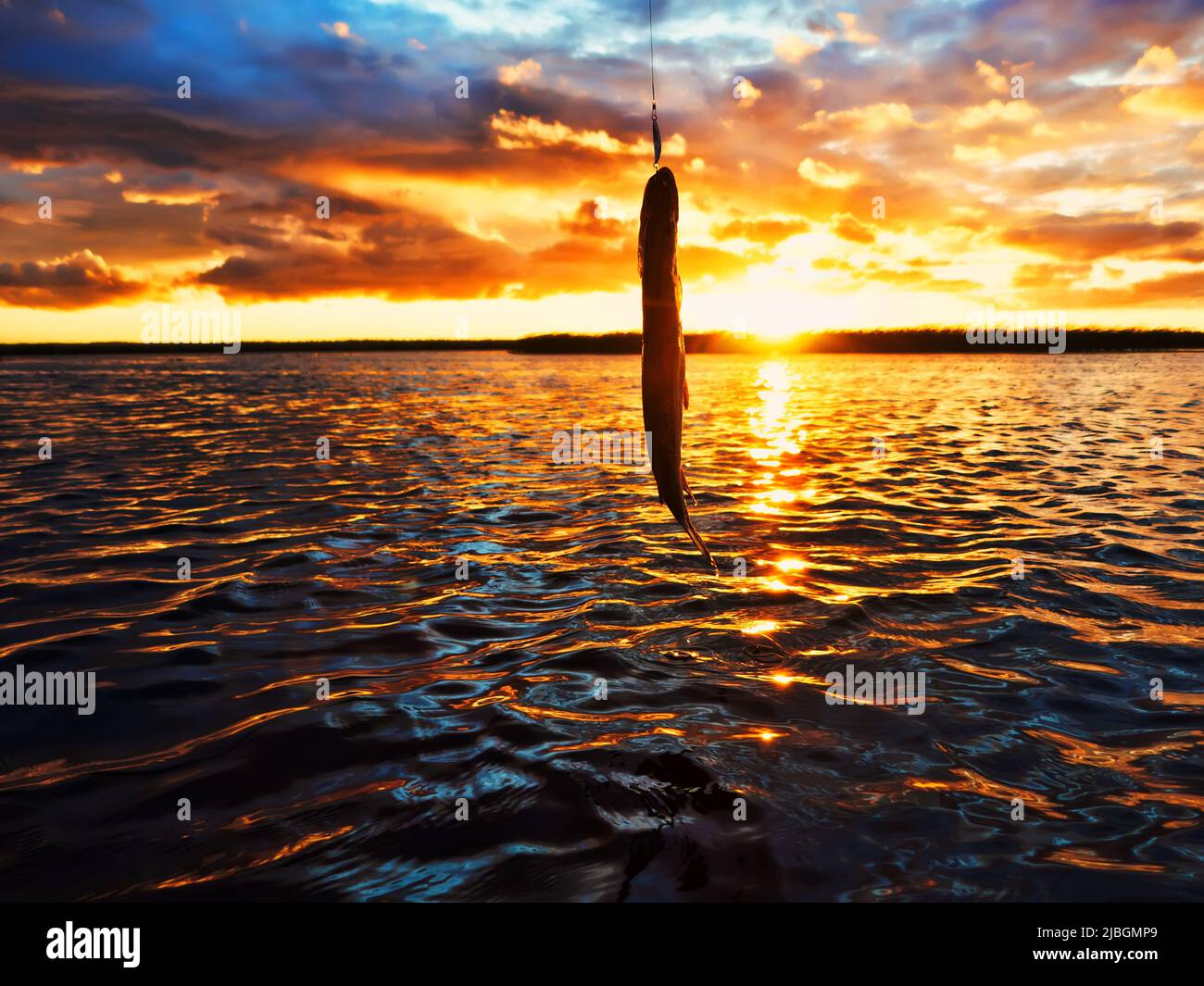 Fishing at sunset. Catching predatory fish on spinning. Sunset colors ...